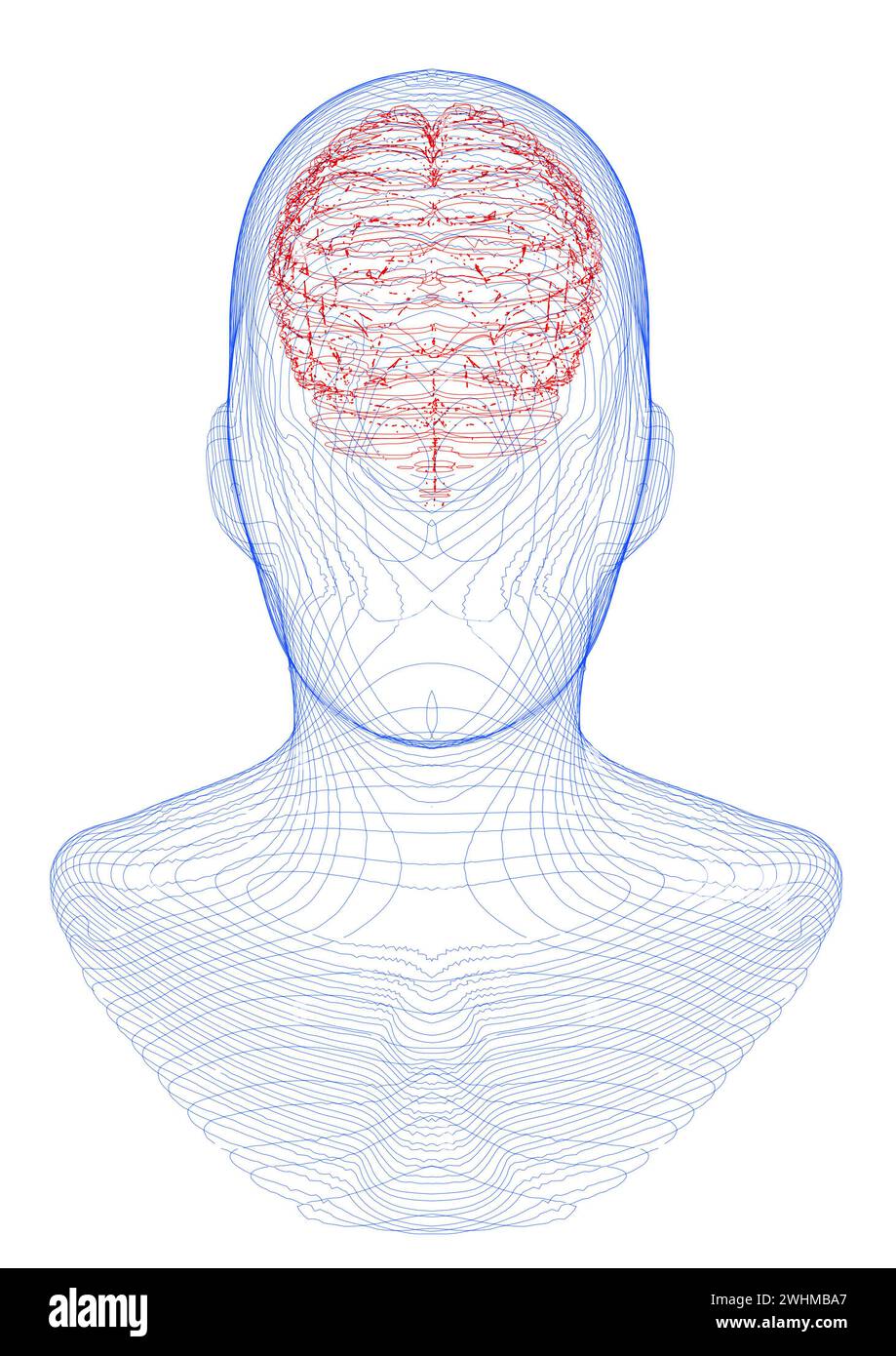 Neurology, philosophy: connections, the development of thought and ...