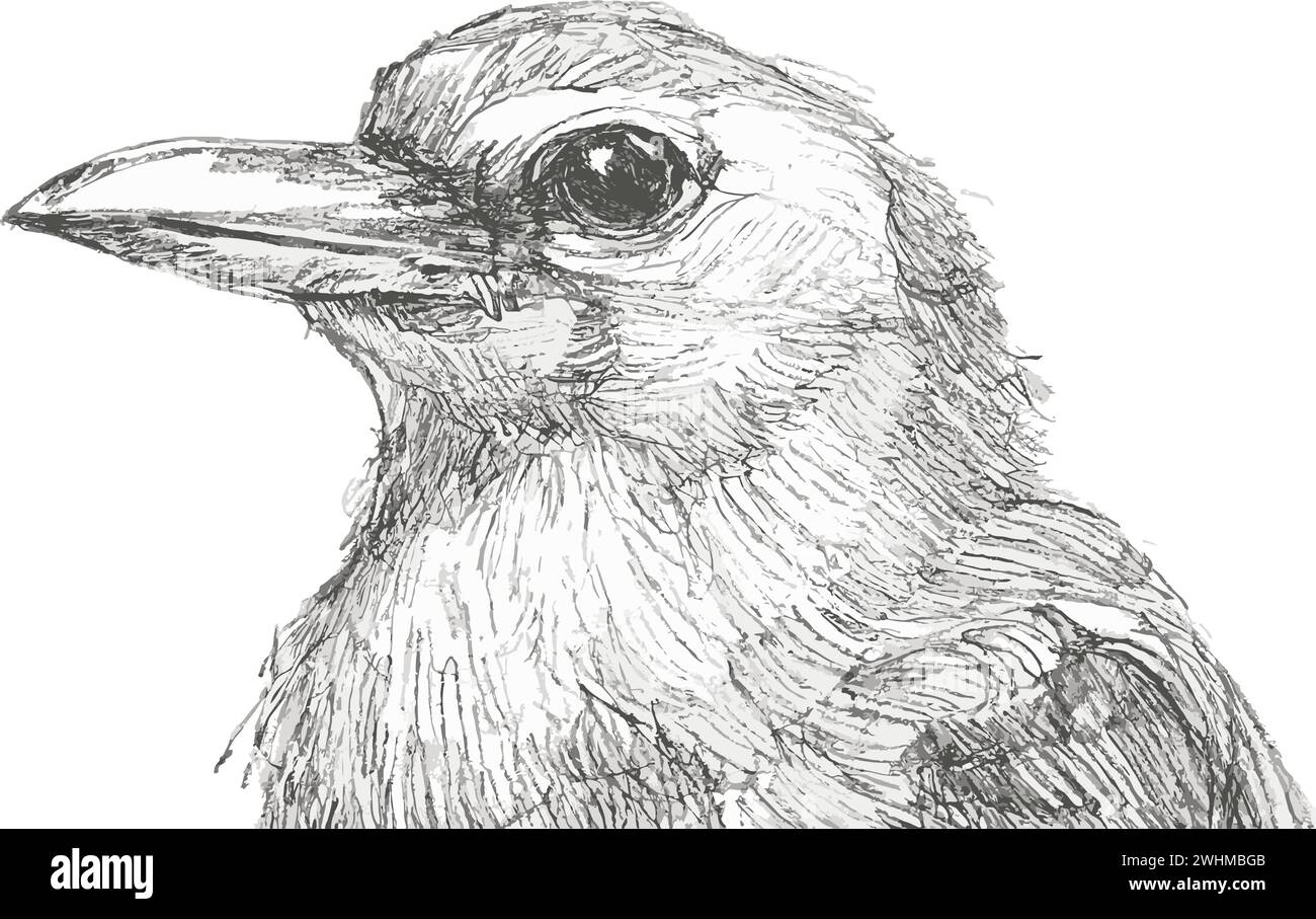 Portrait watercolor Stock Vector Images - Alamy