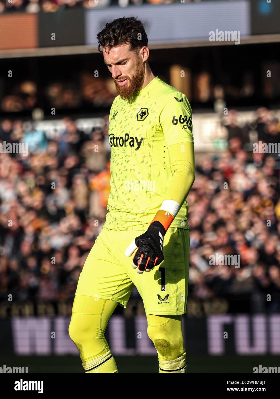 Jose sa wolves hi-res stock photography and images - Alamy