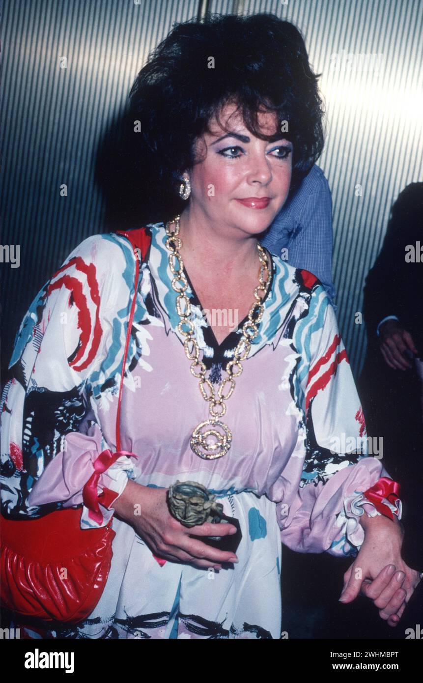 1981 Elizabeth Taylor John Barrett/PHOTOlink Stock Photo - Alamy