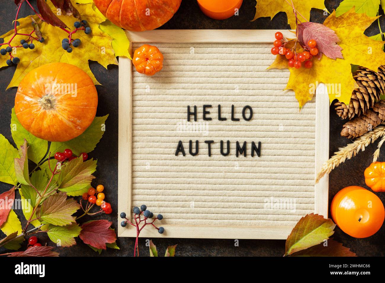 Autumn background with Hello Autumn letters and autumn message board ...