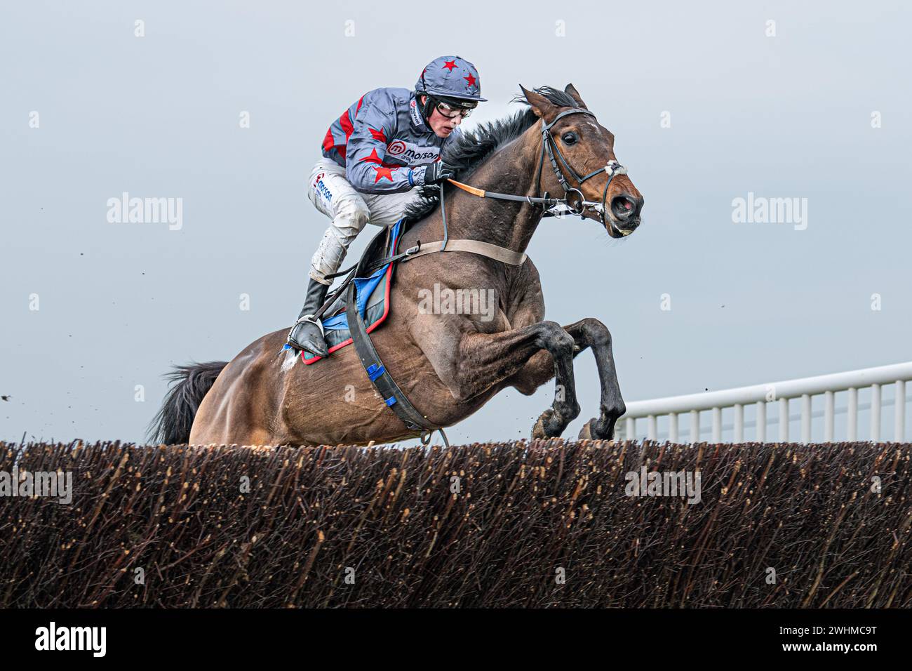 Second race at Wincanton March 2nd 2022 run over fences Stock Photo - Alamy