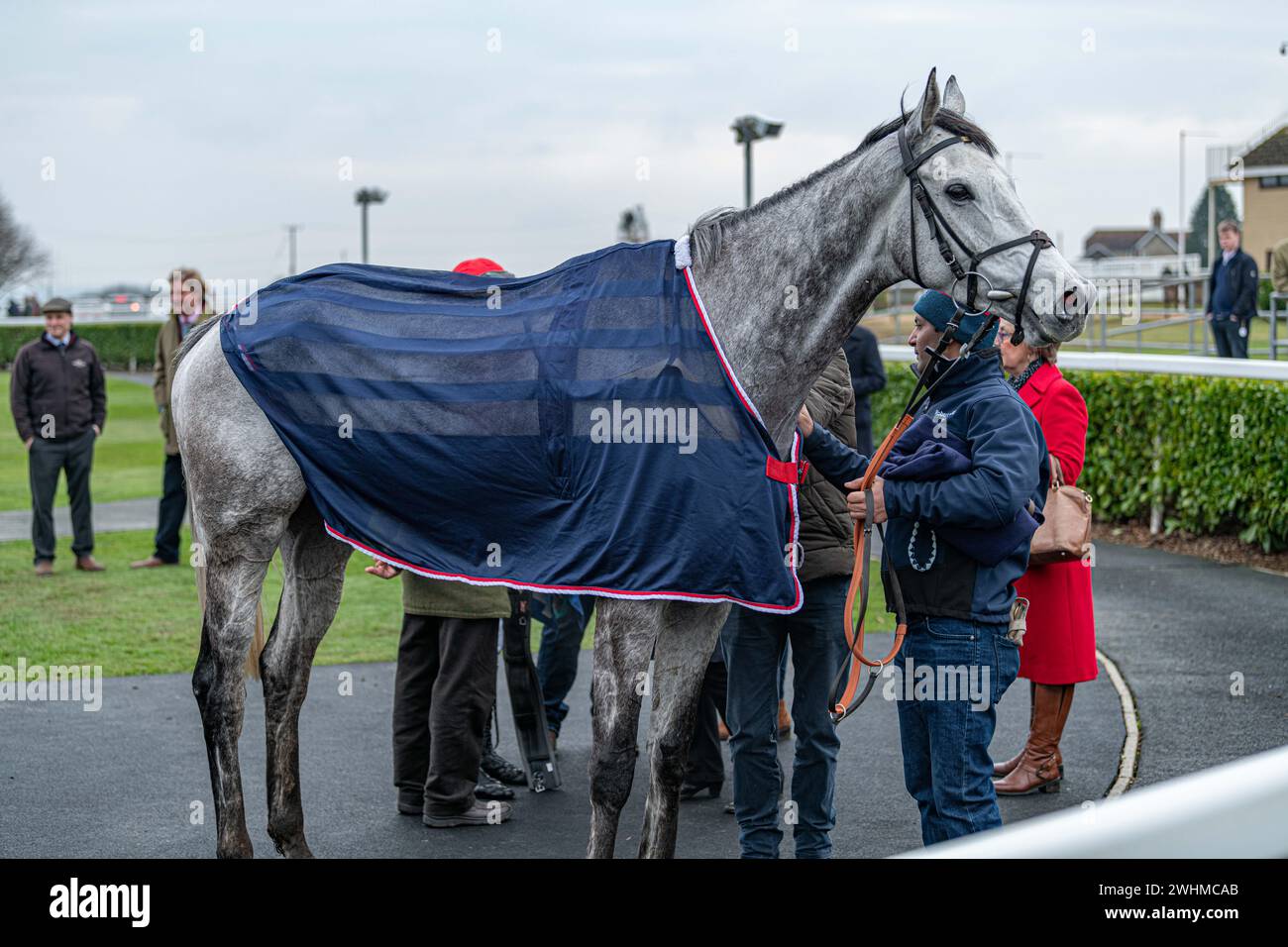 Second race at Wincanton March 2nd 2022 run over fences Stock Photo - Alamy
