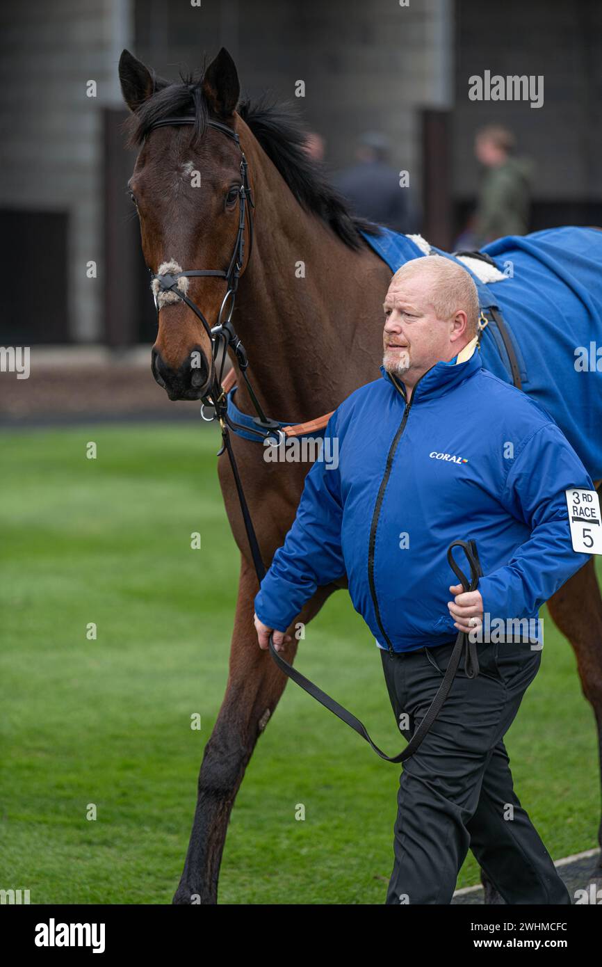 Third race at Wincanton March 2nd 2022 - Novices' Hurdle Stock Photo ...