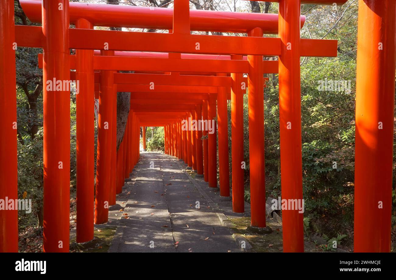 Red tori gates at Nagoya Branch of Chiyo Inari Shrine. Nagoya. Japan ...