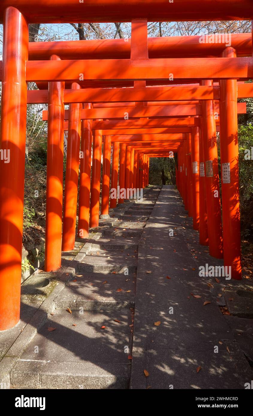 Red tori gates at Nagoya Branch of Chiyo Inari Shrine. Nagoya. Japan ...