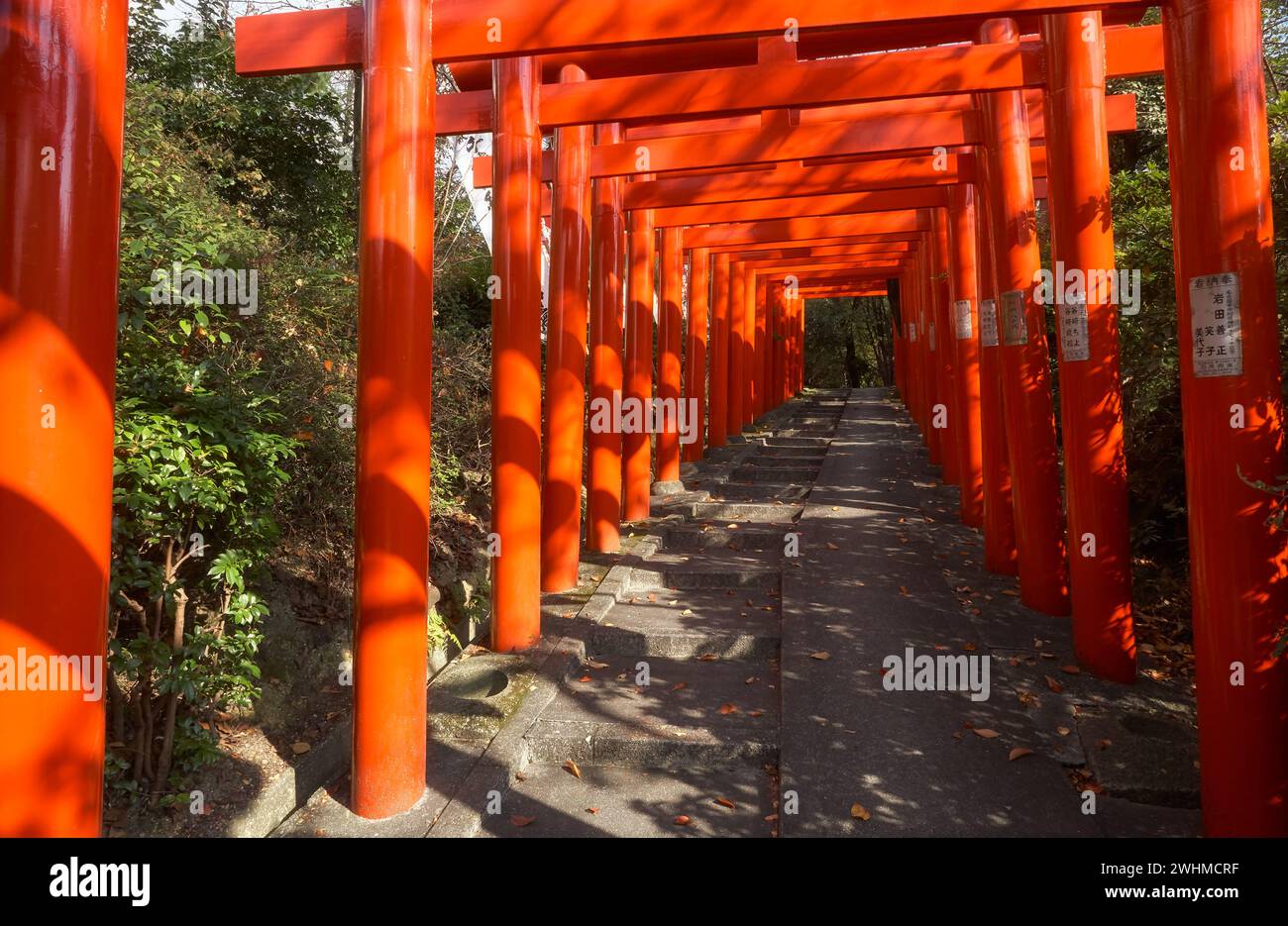 Red tori gates at Nagoya Branch of Chiyo Inari Shrine. Nagoya. Japan ...