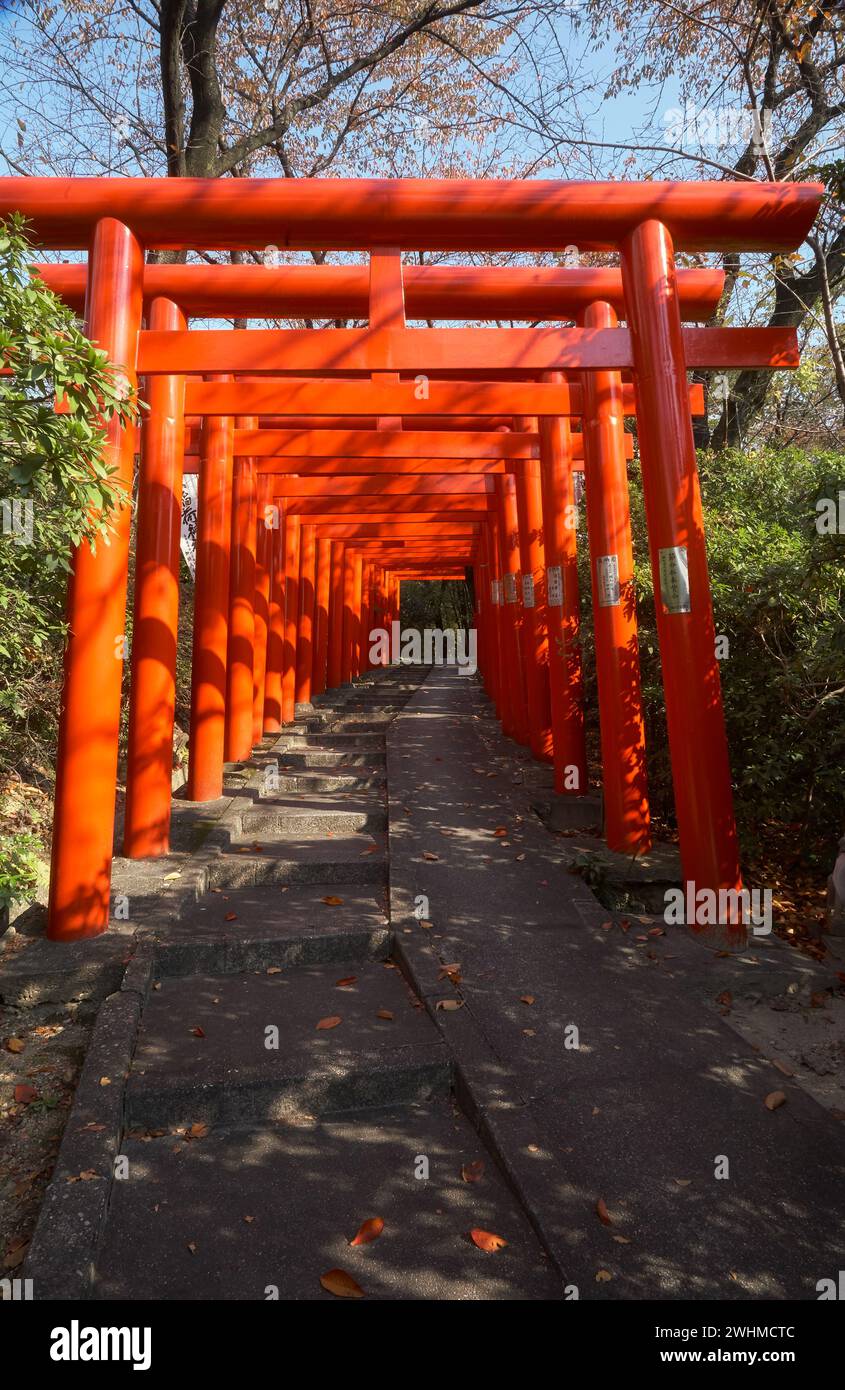 Red tori gates at Nagoya Branch of Chiyo Inari Shrine. Nagoya. Japan ...