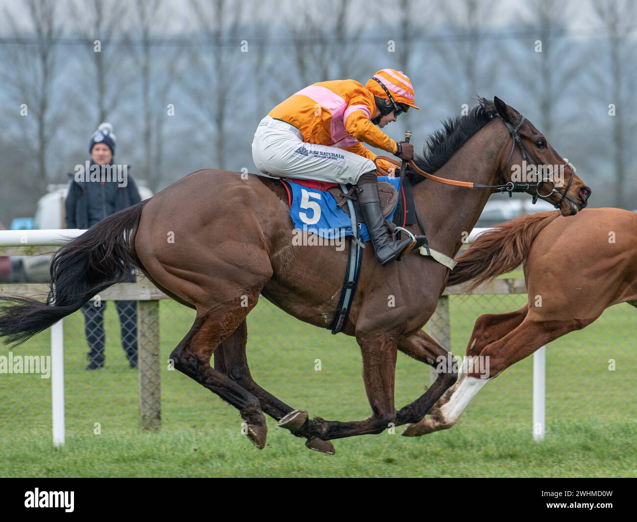 Third race at Wincanton March 2nd 2022 - Novices' Hurdle Stock Photo ...