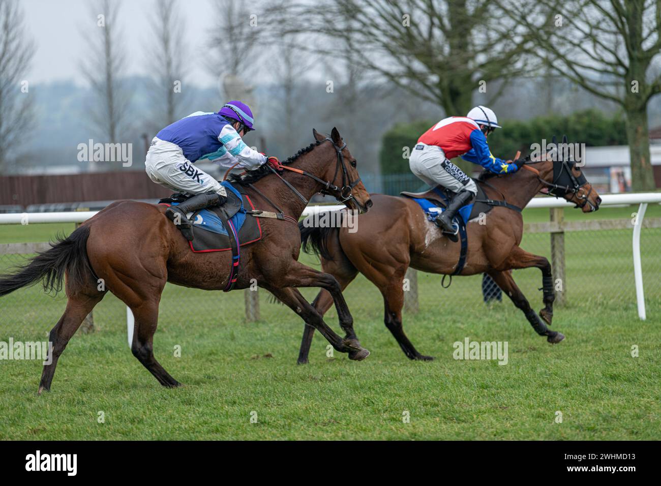 Emma lavelle trained point him out hi-res stock photography and images ...