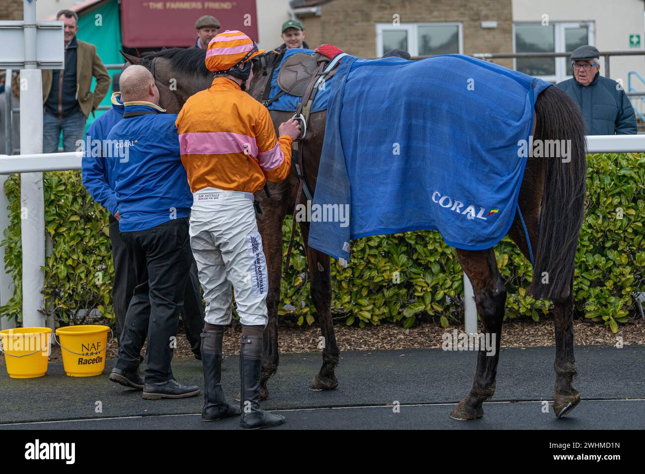 Third race at Wincanton March 2nd 2022 - Novices' Hurdle Stock Photo ...