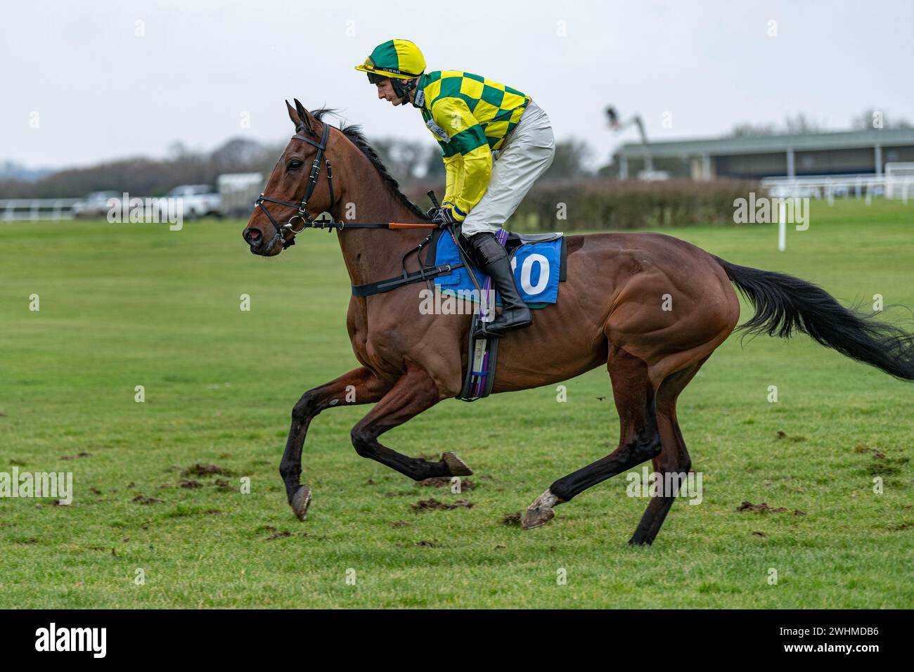 Fourth race at Wincanton, March 2nd, 2022 Stock Photo - Alamy