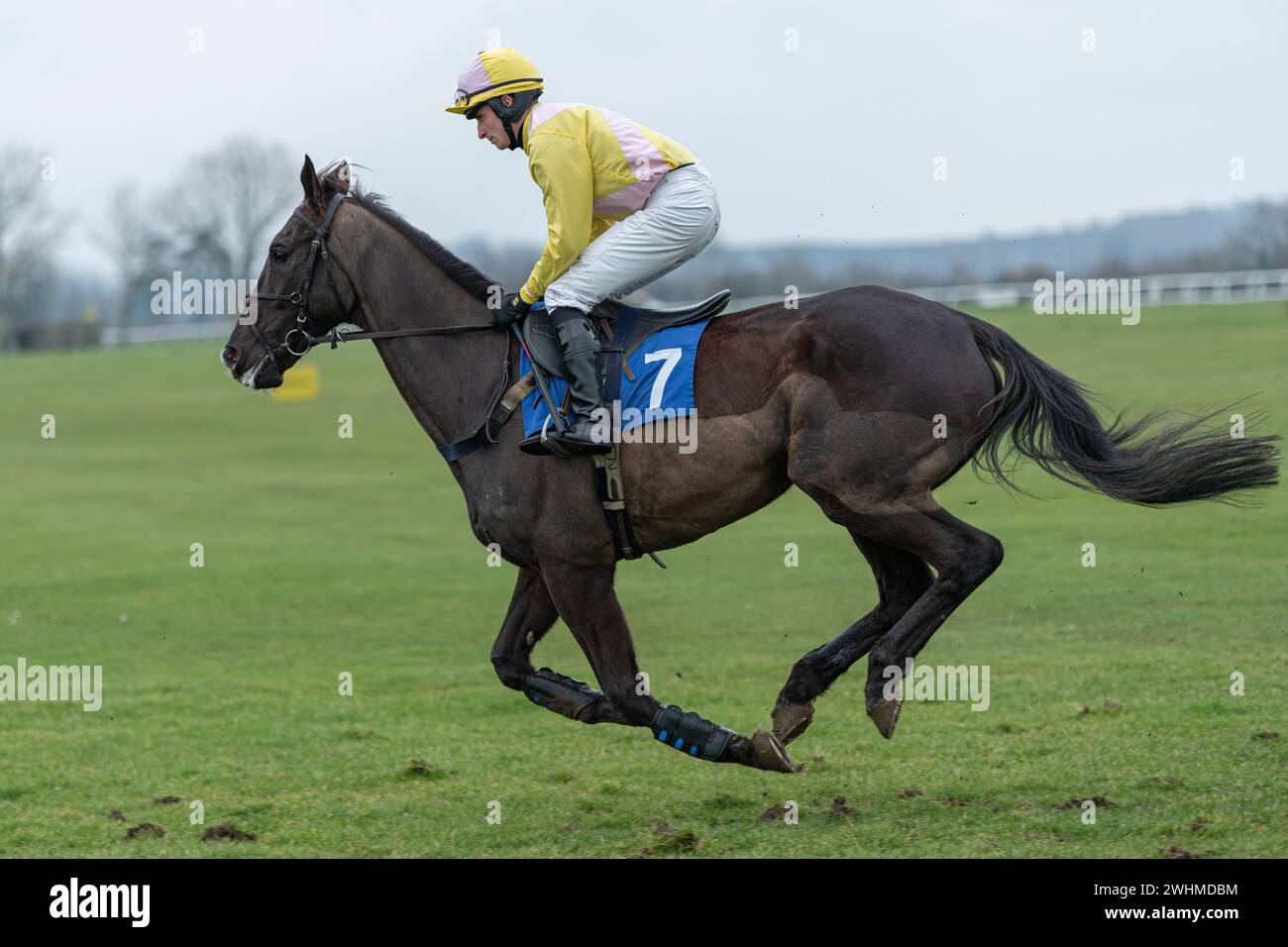 Fourth race at Wincanton, March 2nd, 2022 Stock Photo - Alamy