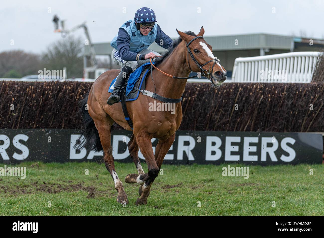 Fourth race at Wincanton, March 2nd, 2022 Stock Photo - Alamy