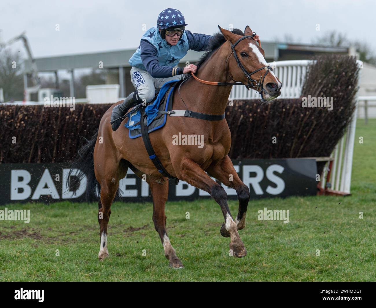 Fourth race at Wincanton, March 2nd, 2022 Stock Photo - Alamy