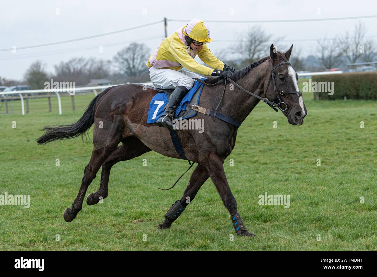 Fourth race at Wincanton, March 2nd, 2022 Stock Photo - Alamy