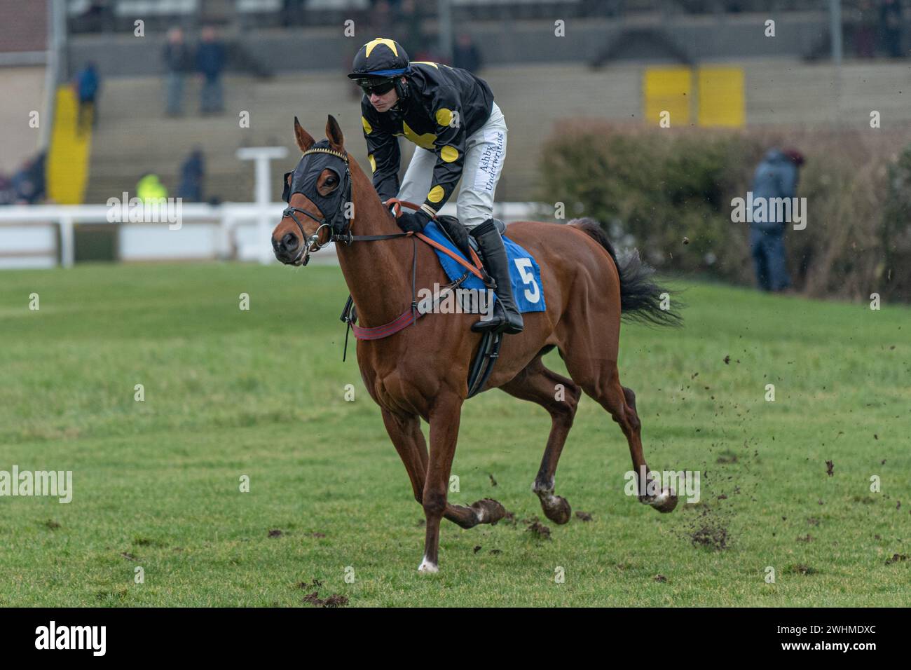 Fourth race at Wincanton, March 2nd, 2022 Stock Photo - Alamy