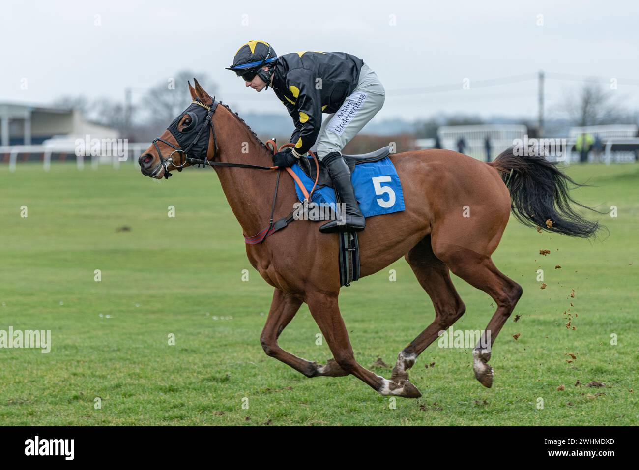 Fourth race at Wincanton, March 2nd, 2022 Stock Photo - Alamy