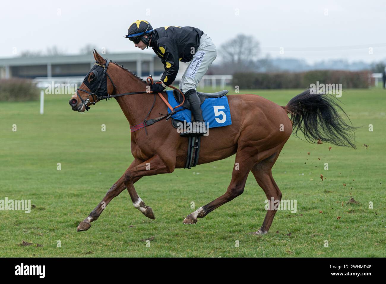 Fourth race at Wincanton, March 2nd, 2022 Stock Photo - Alamy