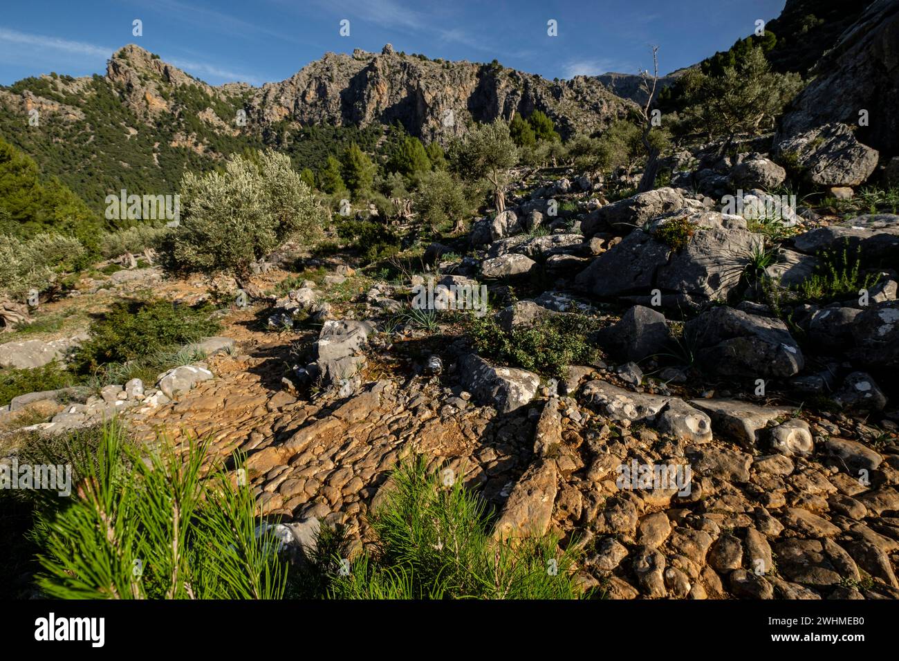 Paved path of Balitx Stock Photo - Alamy