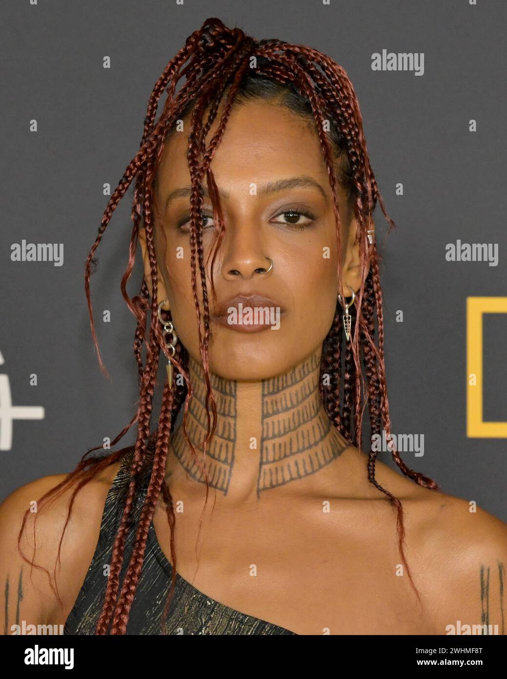 Los Angeles, California, USA. 08th Feb, 2024. Alewya. National ...