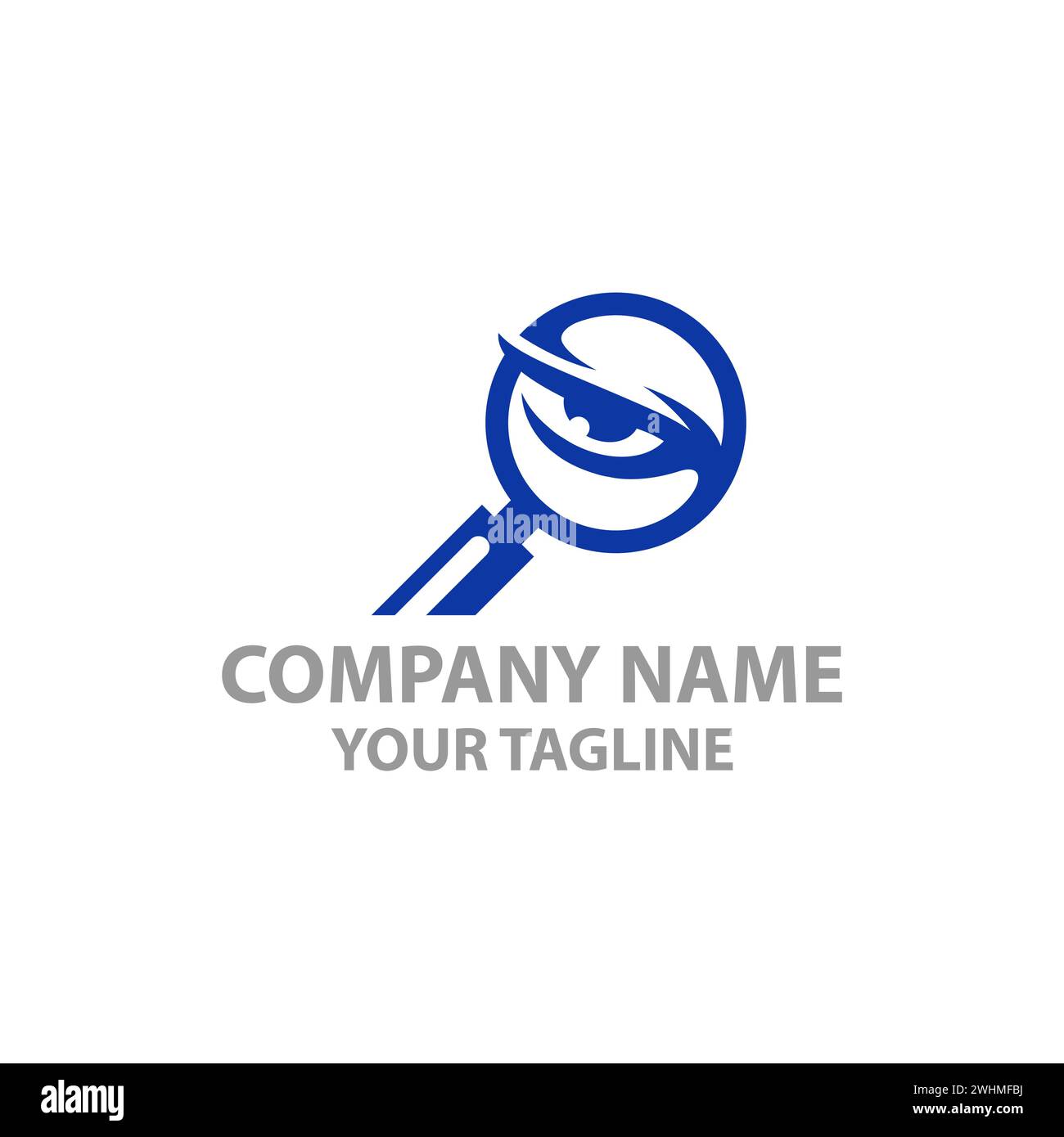 Eagle eye. Hawk Magnifying glass icon. Flying bird emblem. Vector ...