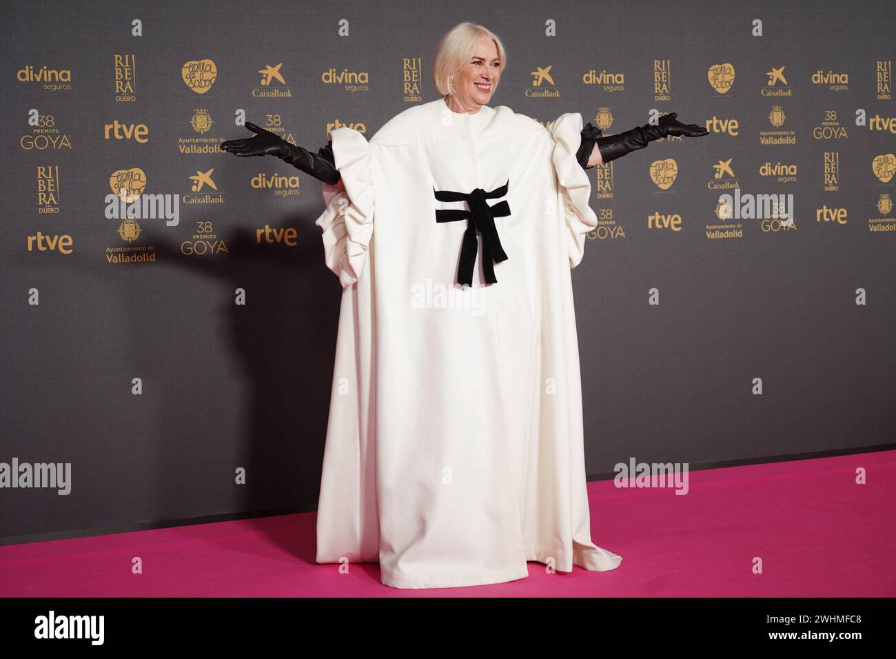 Actress Susi Sanchez at photocall for the 38th annual Goya Film Awards ...