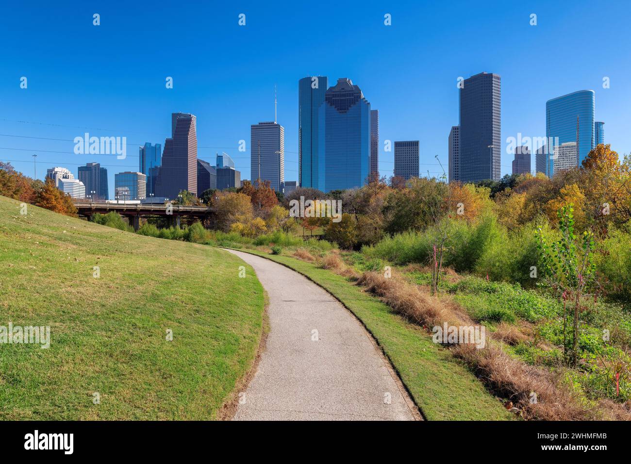 Houston downtown skyline in sunny autumn park, Houston, Texas Stock ...