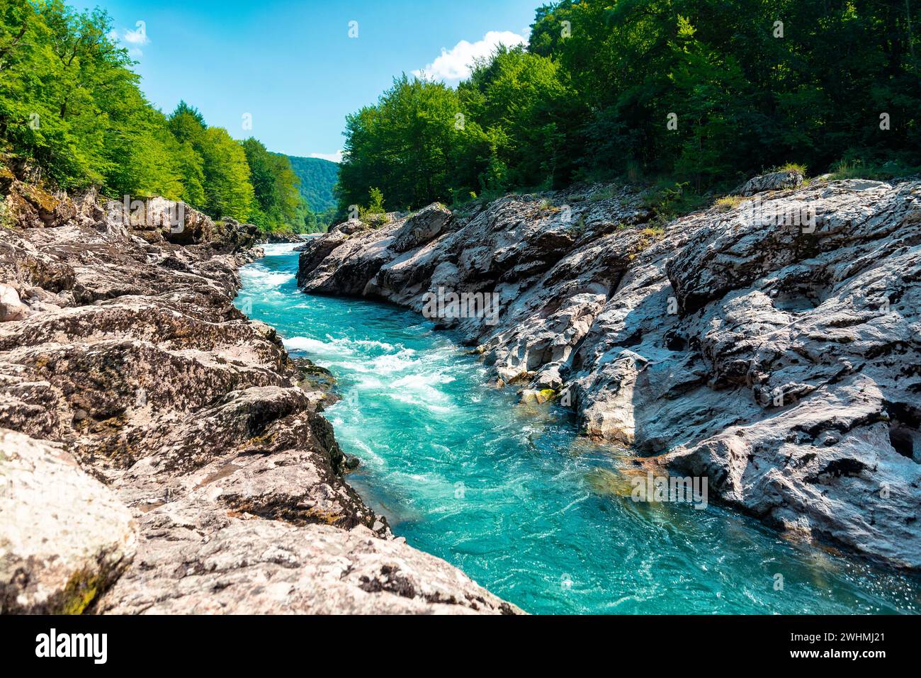 Landscape mountain river and rocks with green tropical plants in ...