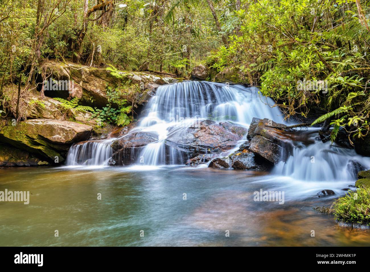 Rain forest waterfall, Madagascar wilderness landscape Stock Photo - Alamy