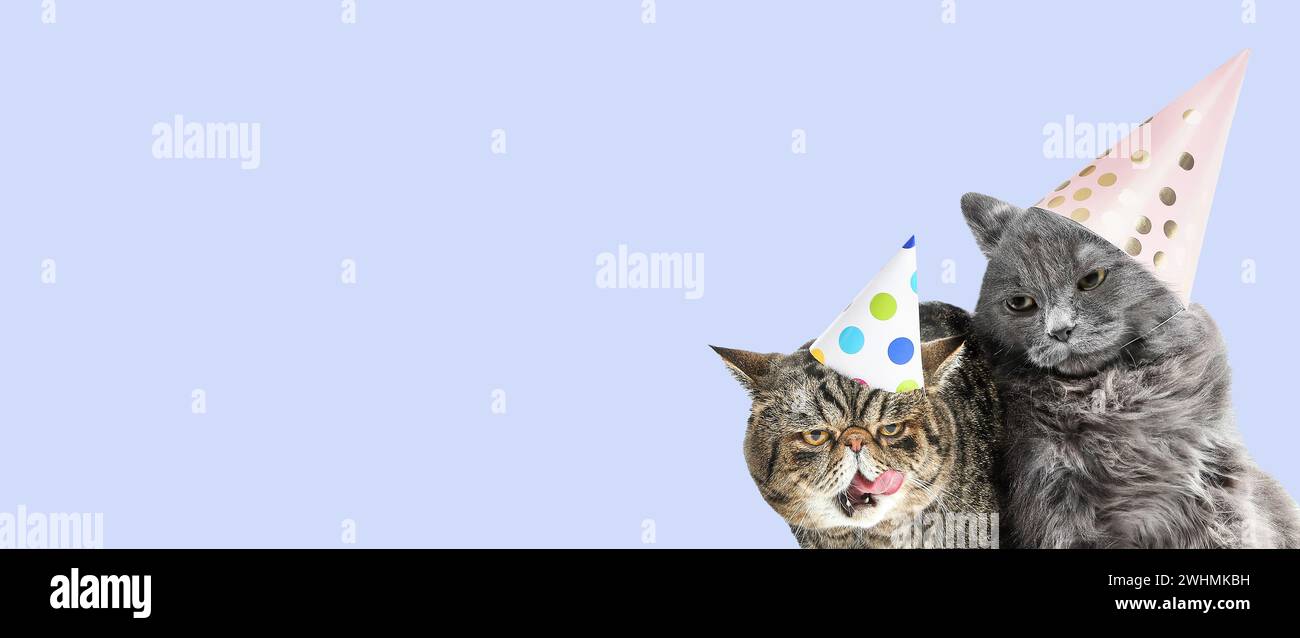 Cute funny cats in party cones on lilac background with space for text ...