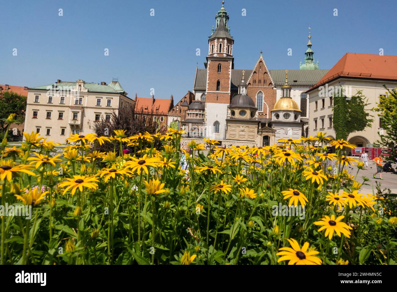 Catedral major hi-res stock photography and images - Alamy
