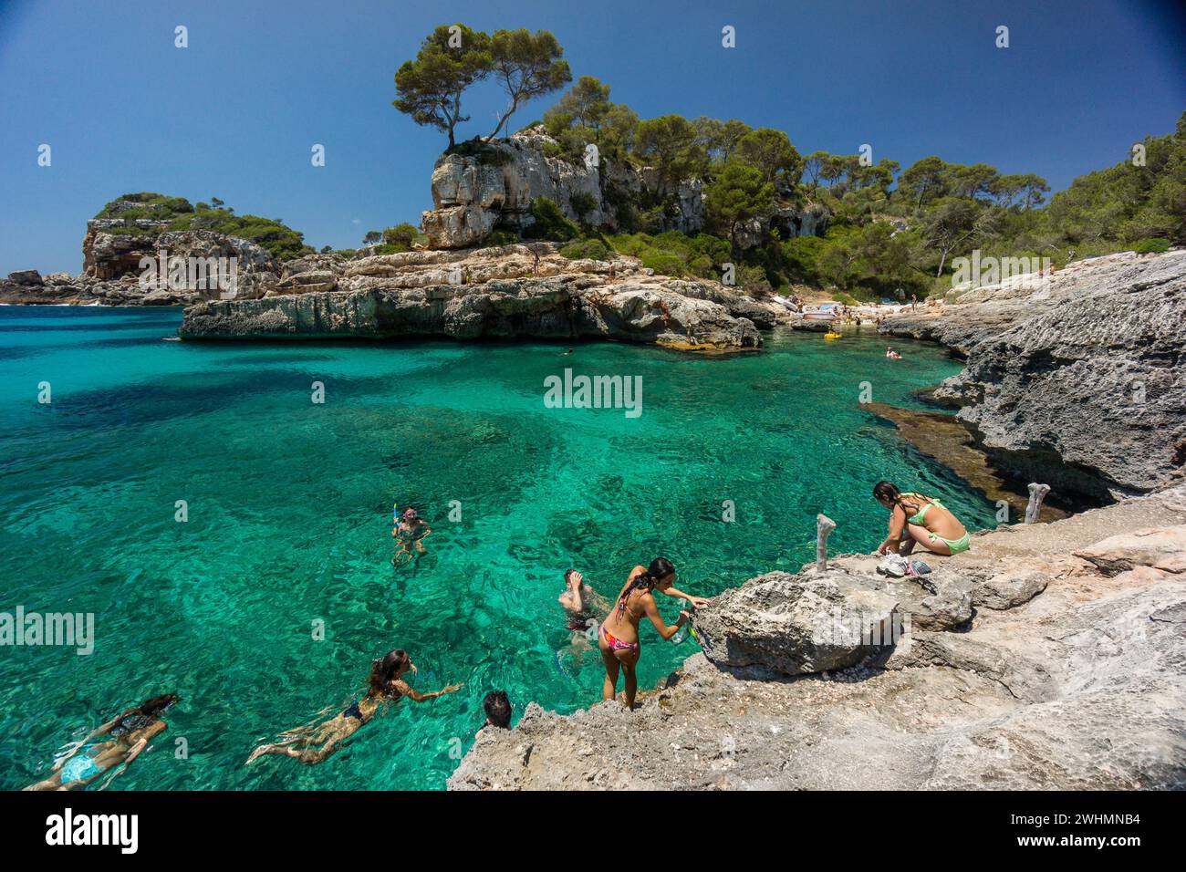 Salmunia hi-res stock photography and images - Alamy