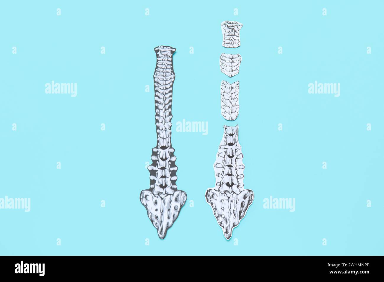 Paper spines on blue background Stock Photo - Alamy