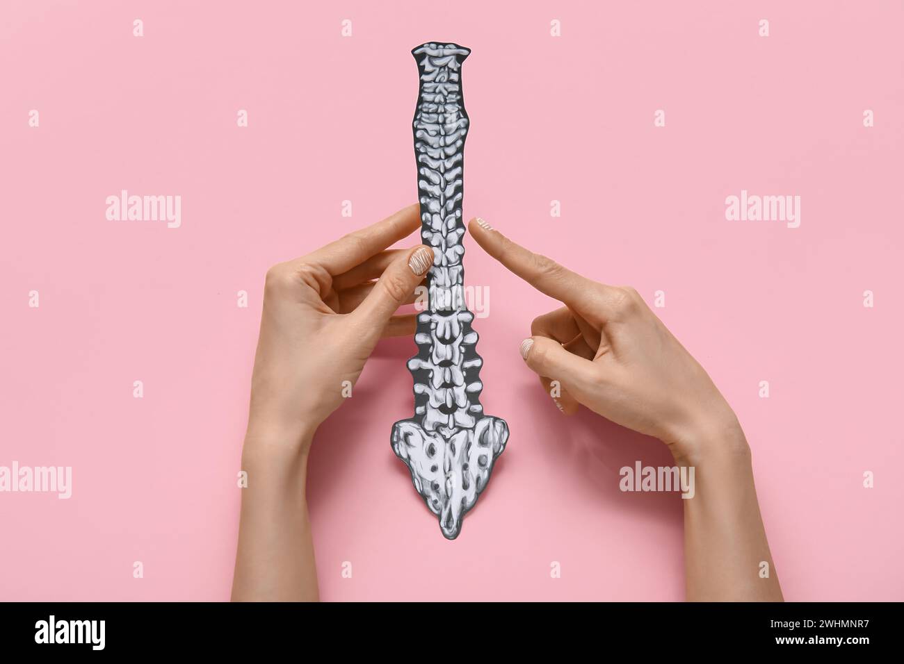 Osteopathy woman skeleton hi-res stock photography and images - Alamy