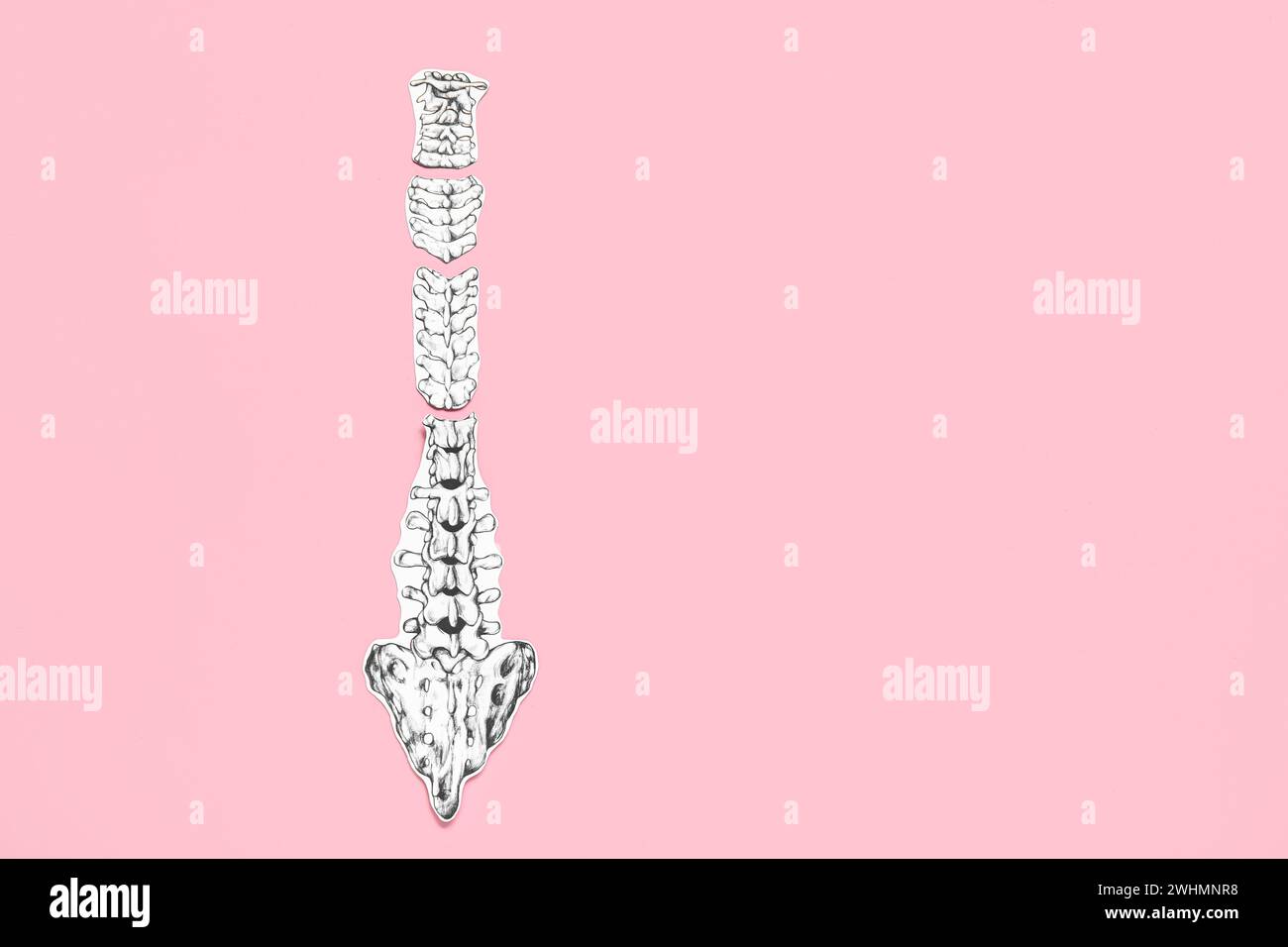 Paper spine on pink background Stock Photo - Alamy