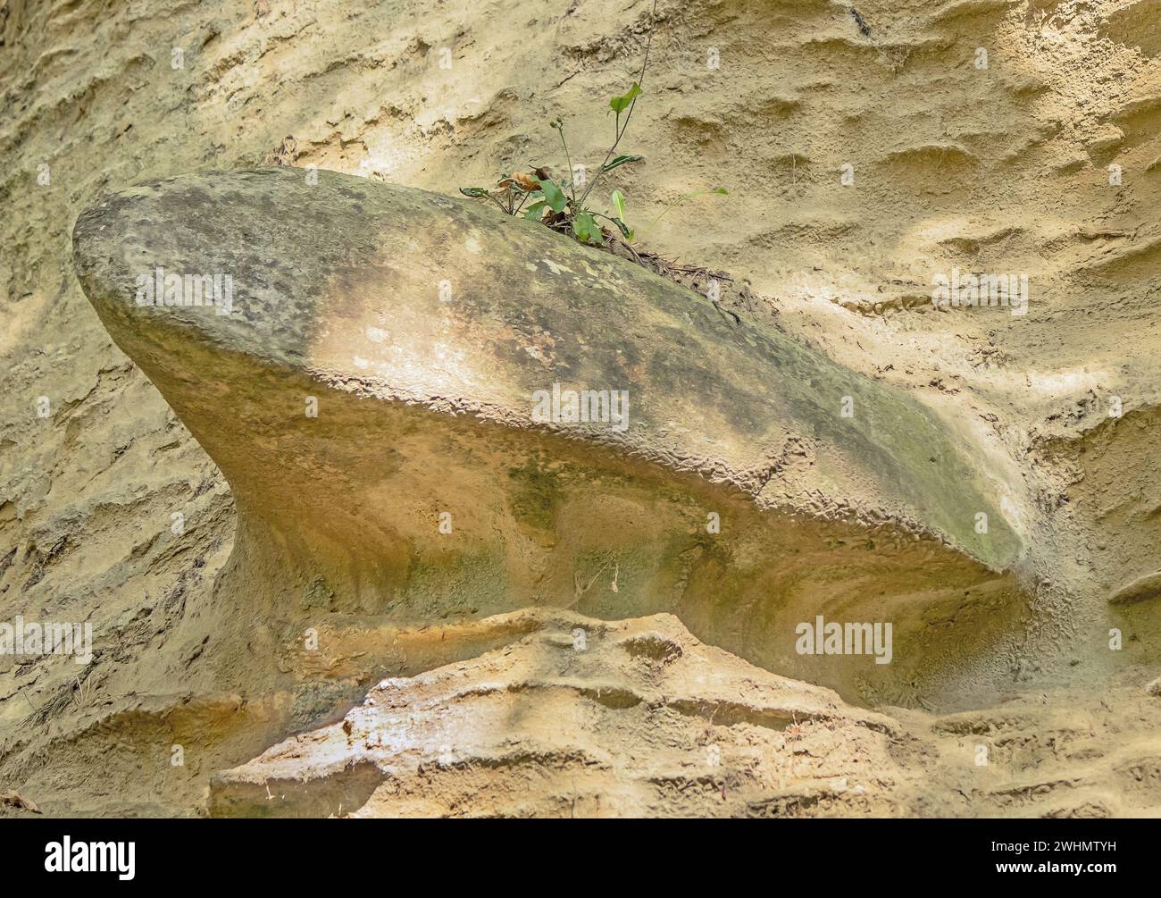 Molasse hi-res stock photography and images - Alamy
