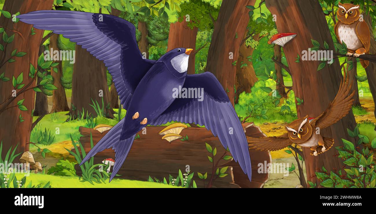 cartoon summer scene with deep forest and birds owls and some other ...