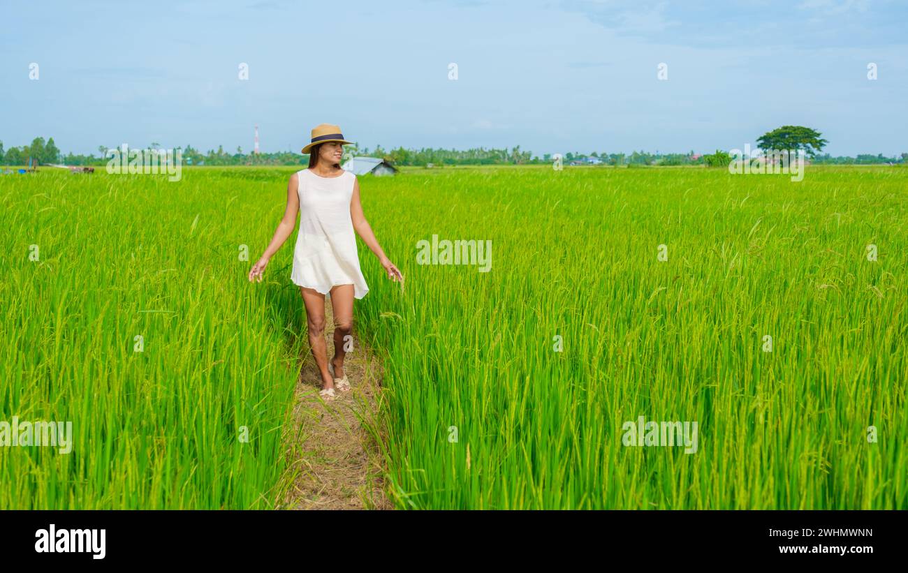 Green rice paddy fields in Central Thailand Suphanburi region Stock ...
