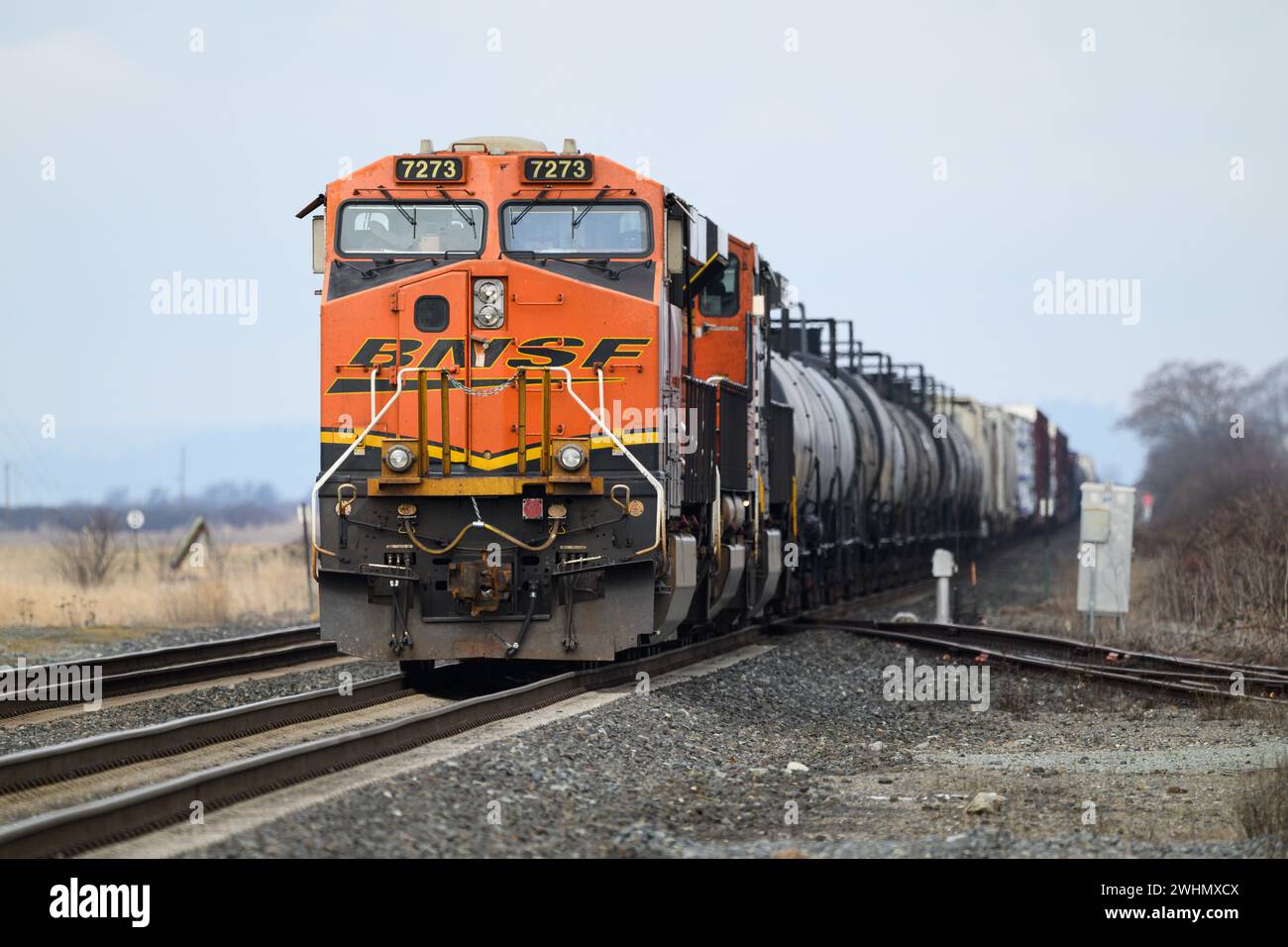 Stanwood, WA, USA - February 7, 2024; BNSF mixed freight goods train lead by ES44DC locomotive ...
