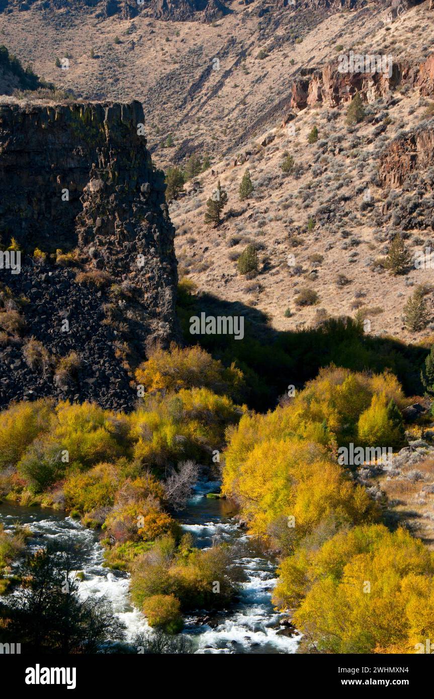 Deschutes Wild and Scenic River from Scout Camp Trail, Steelhead Falls ...