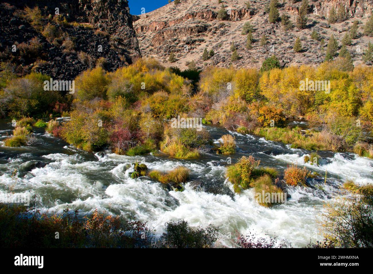 Deschutes Wild and Scenic River from Scout Camp Trail, Steelhead Falls ...