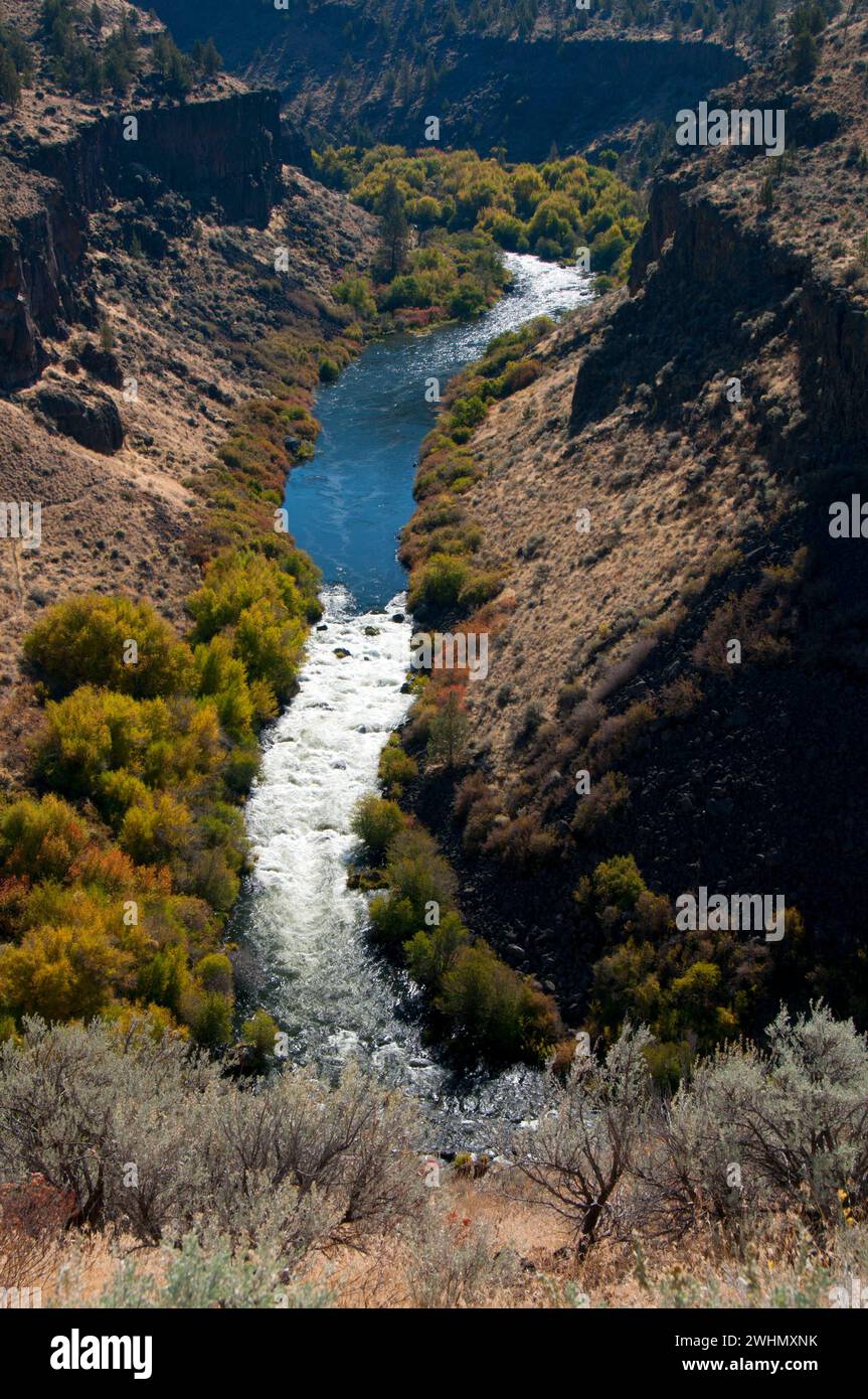 Deschutes Wild and Scenic River from Scout Camp Trail, Steelhead Falls ...