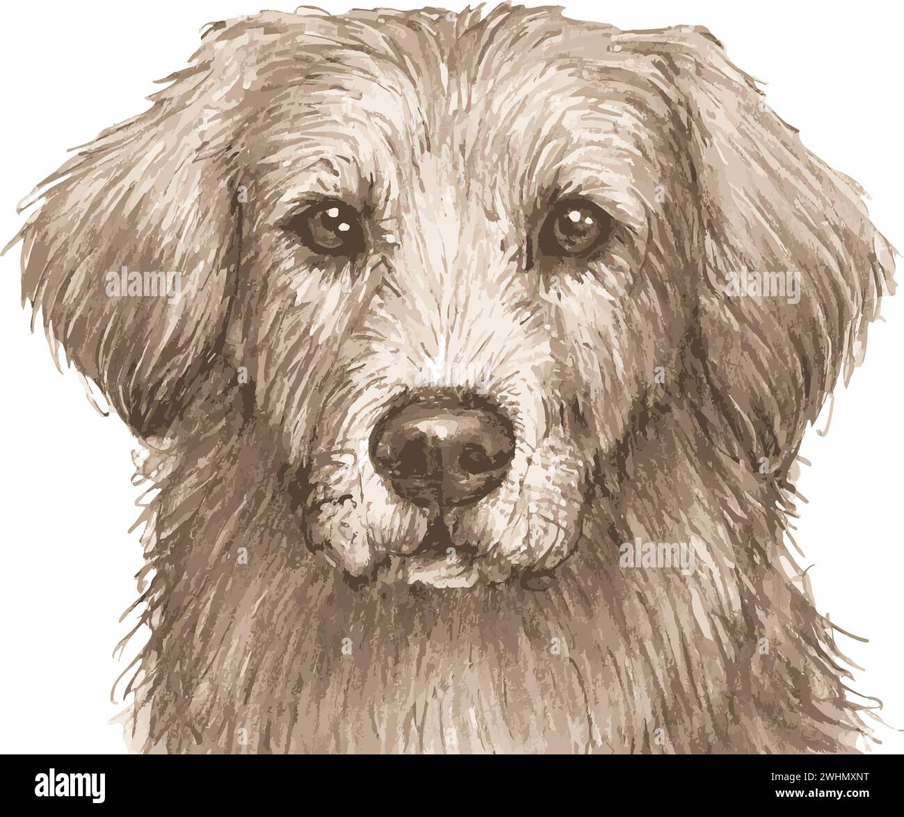 Purebred dog portrait Stock Vector Images - Alamy