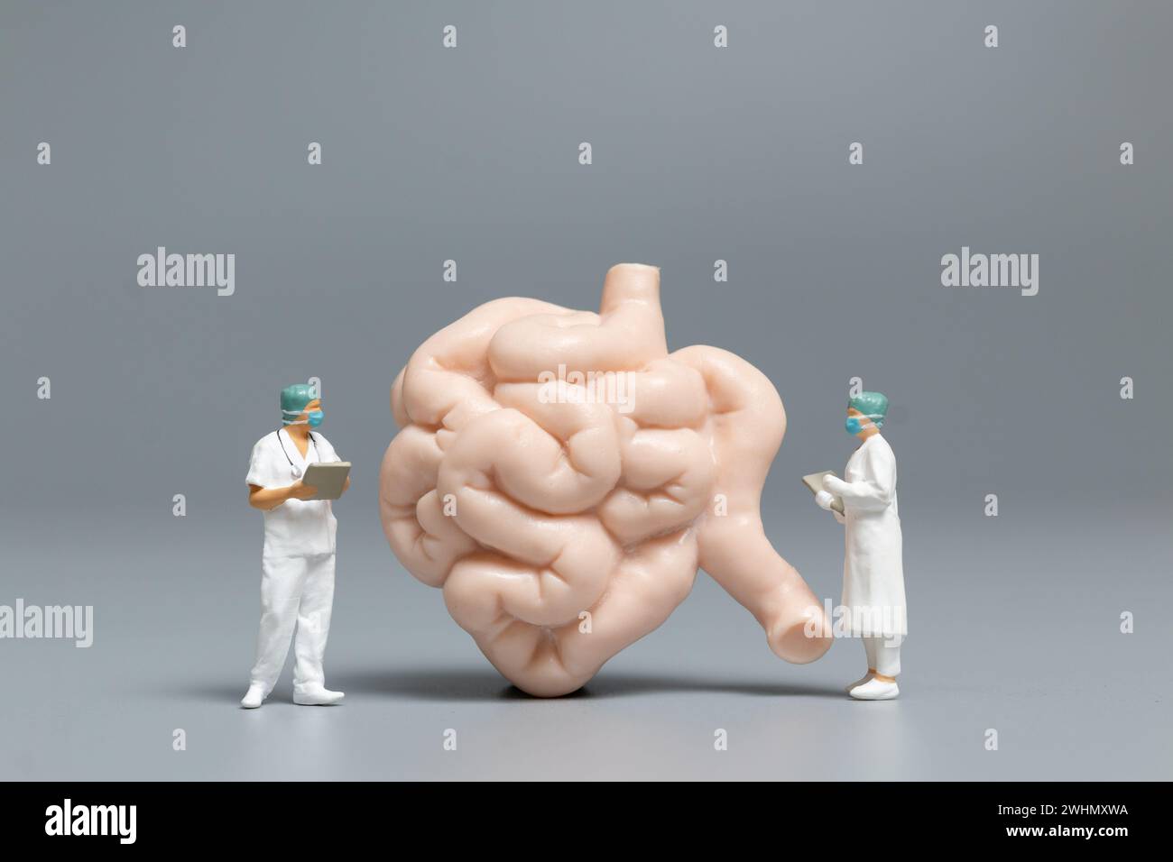 Doctor and nurse observing and discussing about human small intestine ...