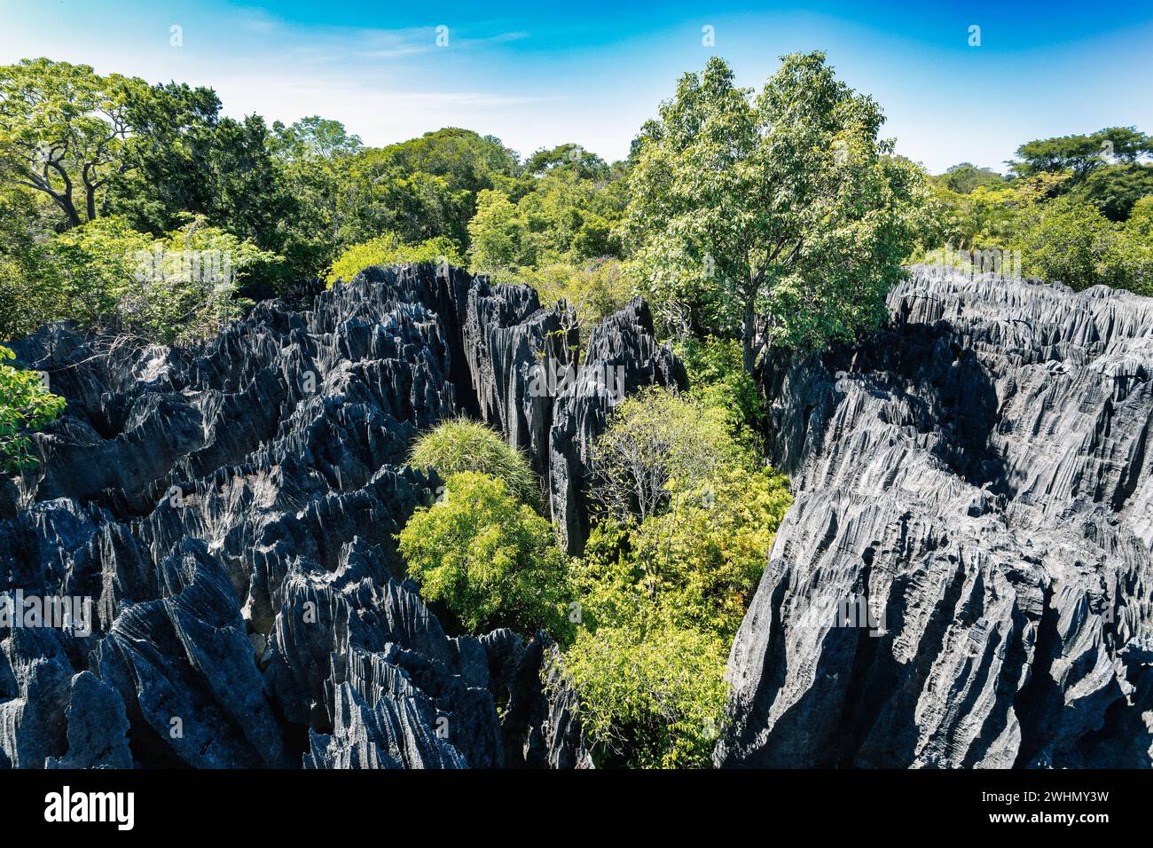 Petit Tsingy de Bemaraha, Madagascar wilderness landscape Stock Photo ...