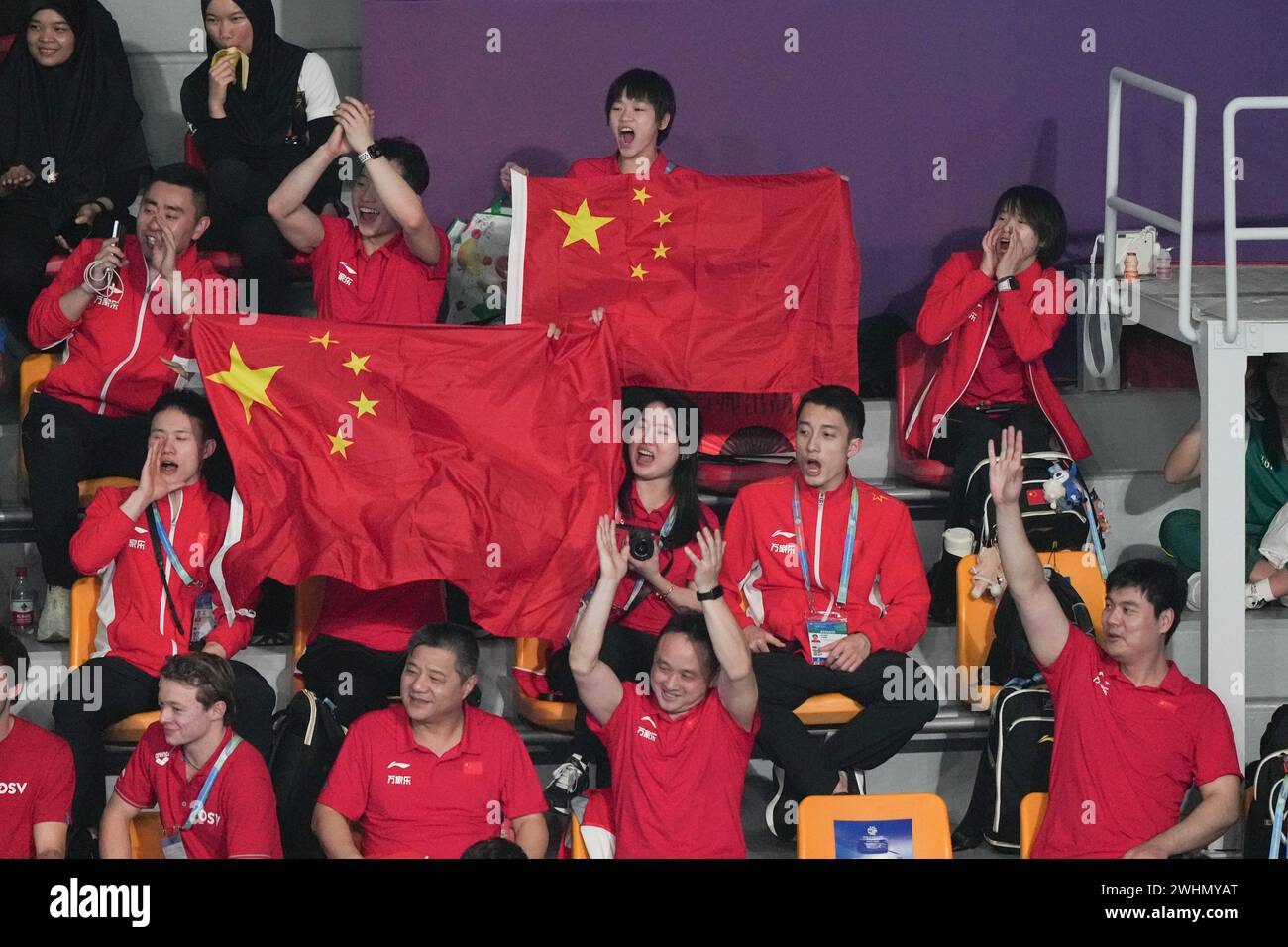 Doha. 10th Feb, 2024. China's diving athletes and coaches cheer for ...