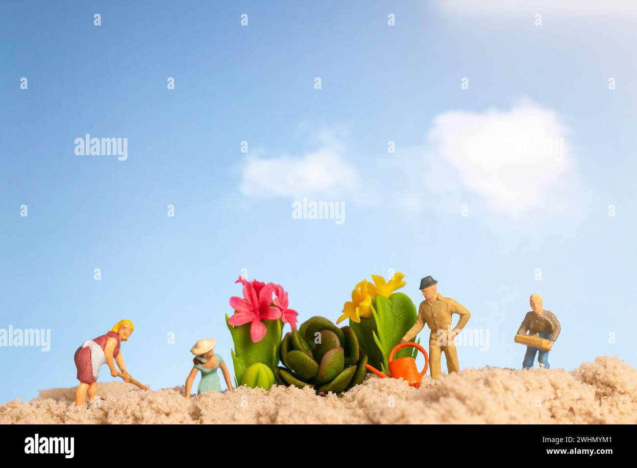 Miniature people gardener working on cactus plants Stock Photo - Alamy