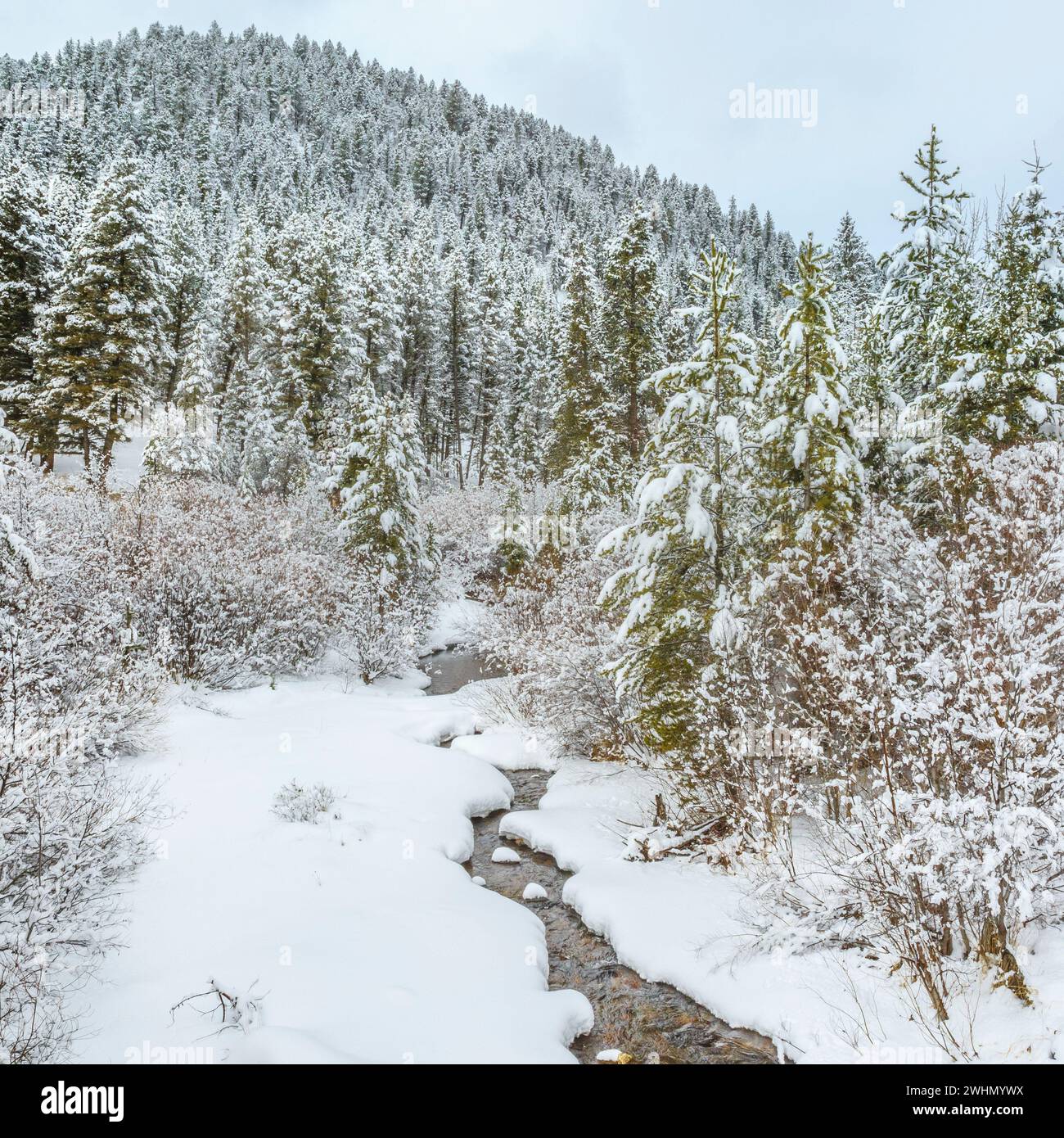 Mt d1433 hi-res stock photography and images - Alamy