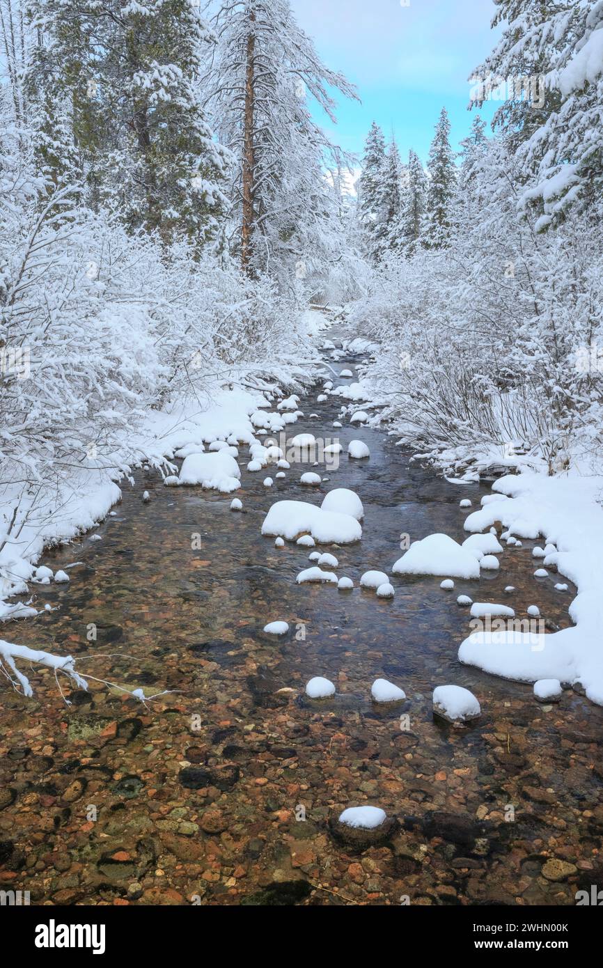 tenmile creek in winter at moose creek campground near rimini, montana ...